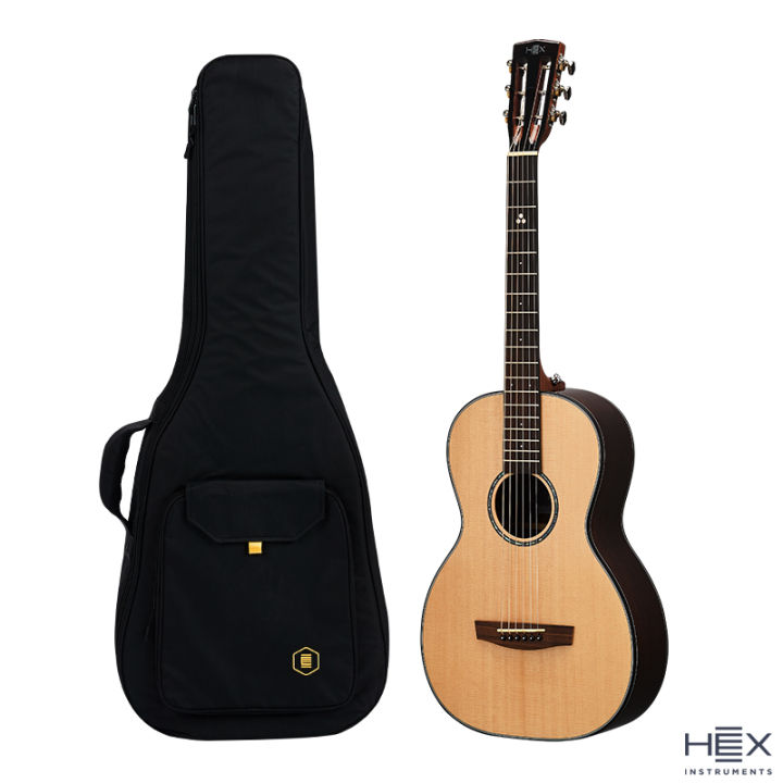 Hex Instruments Sting P350G Parlor Acoustic Guitar With Standard Gig ...