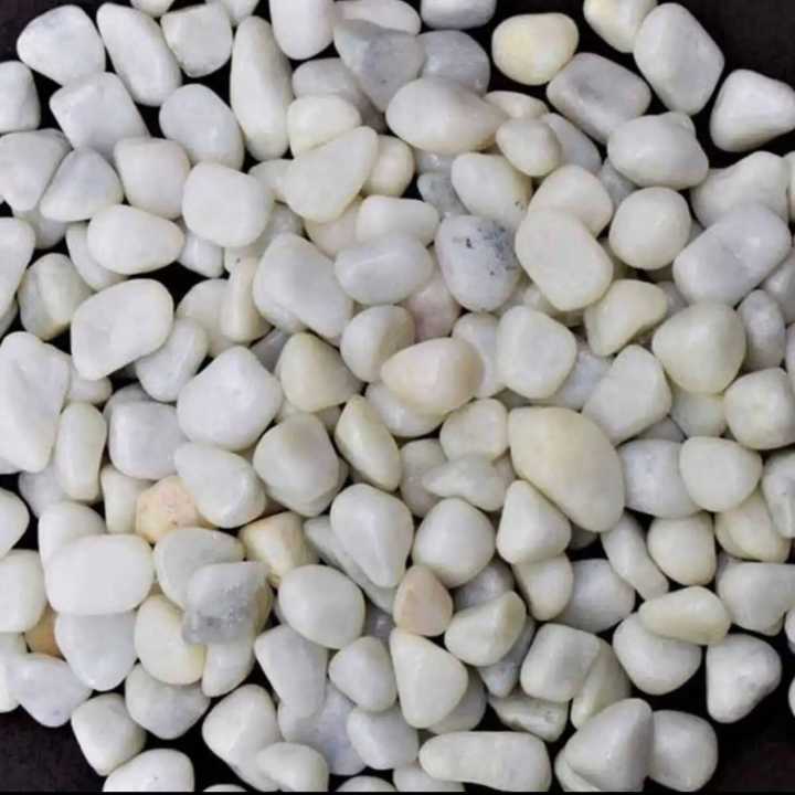 1 Kg White Stone Pebbles For Aquarium And Garden Decoration Natural ...