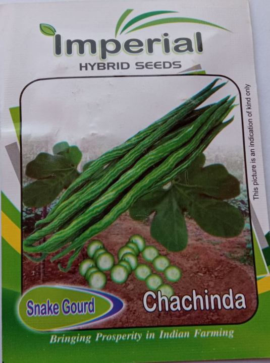 Vegetable Seeds- Snake Gourd Seeds 3 Gram Vegetable Chichinda ...
