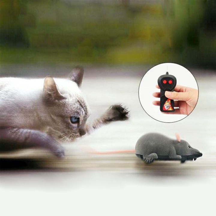 Bizzy Wireless Remote Control RC Electronic Rat Mouse | Daraz.com.np