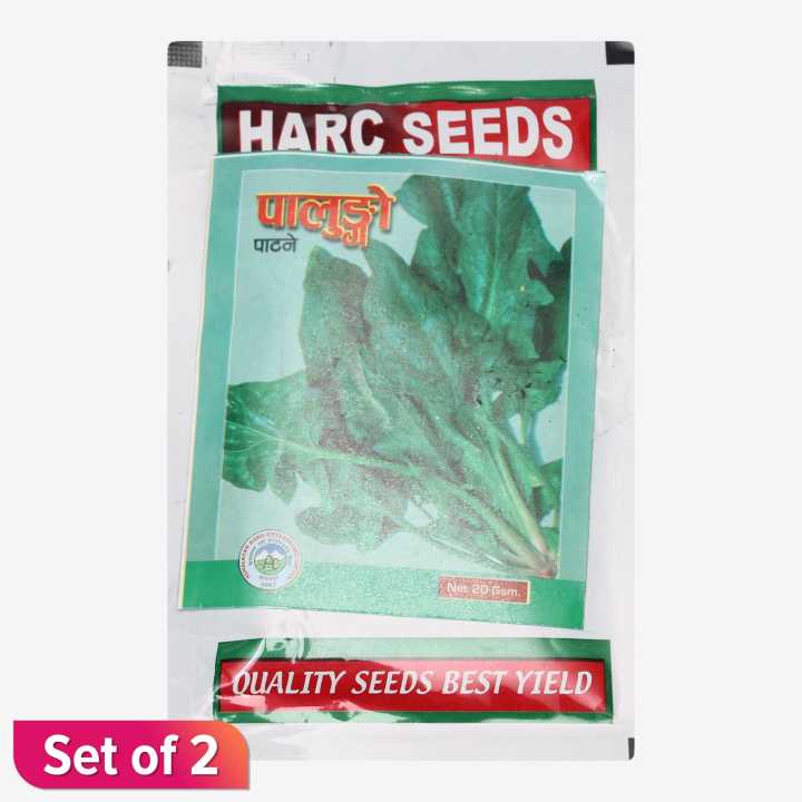 Palungo Pataney 20 gm Set Of 2 | Daraz.com.np