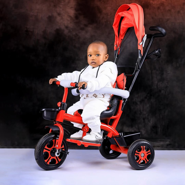 Baby Try Cycle with Push Handle Children's Tricycle with Parent Control ...
