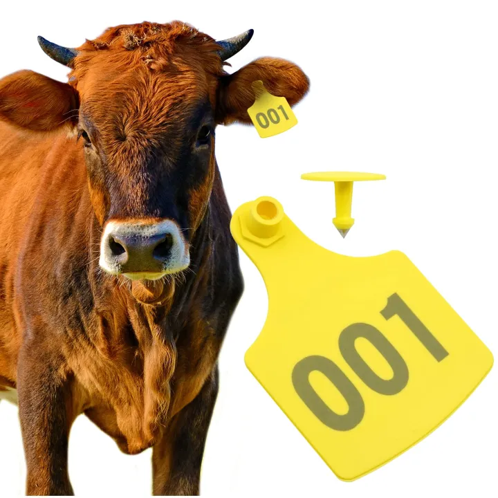 Ear Tags For Cow And Buffalo 0-100 Numbered | Daraz.com.np