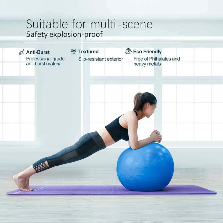 Multi Function 65Cm Gym Fitness Aerobics Yoga Ball/Gym Ball/Exercise ...