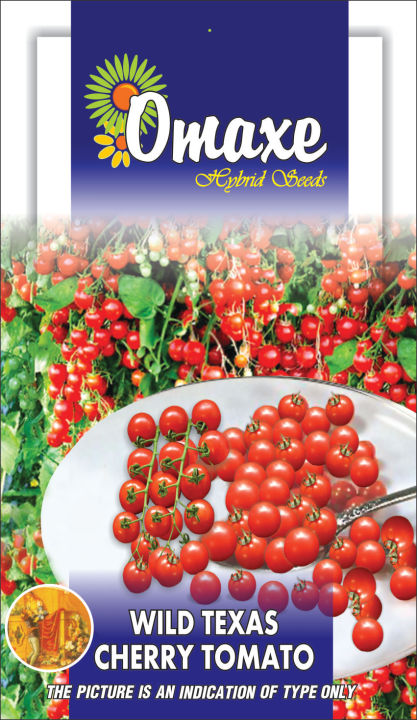 Cherry Tomato Wild Texas - Vegetable Seeds Omaxe (AVG 100 SEEDS)| Omexe ...