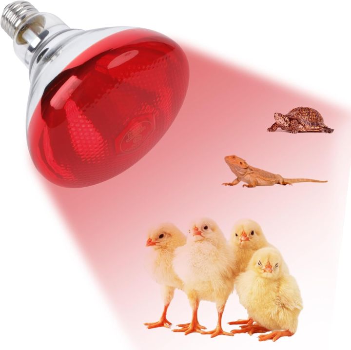 Poultry Heating Bulb | Daraz.com.np