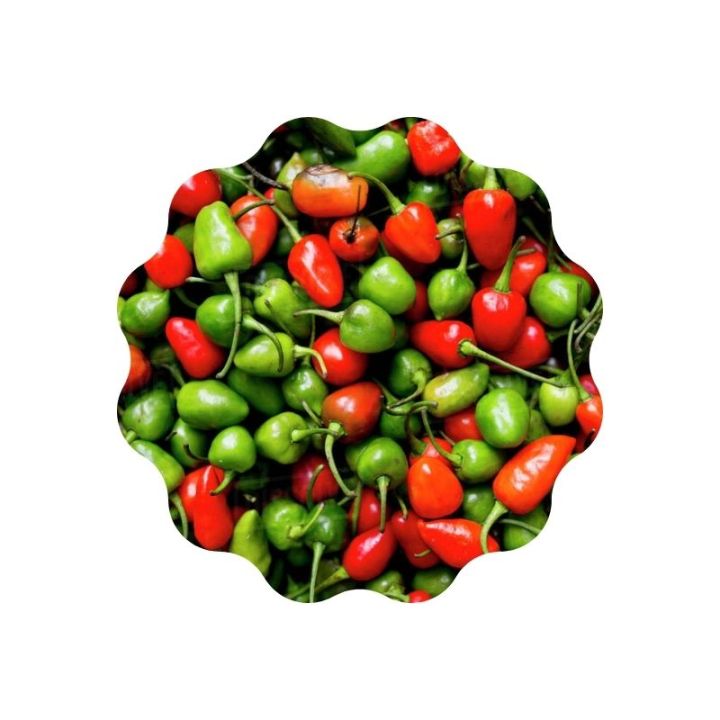 Akabare Khursani Seeds- 20 Plus Seeds For Balcony And Garden | Daraz.com.np