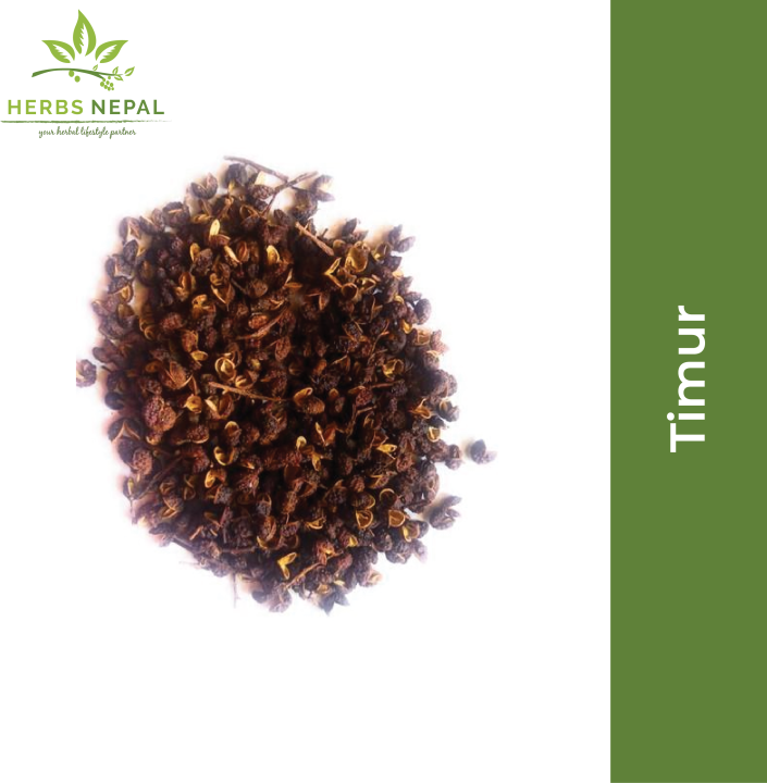Timur 200gm- Sichuan pepper /Herbs Nepal | Daraz.com.np
