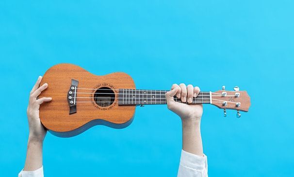 Premium Ukulele | Daraz.com.np: Buy Online at Best Prices in Nepal ...