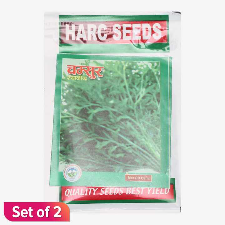 Chamsur Seeds 20 gm Set Of 2 | Daraz.com.np