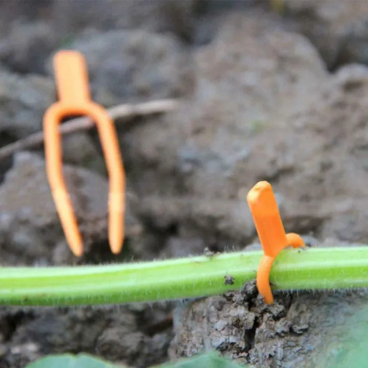 Stolon Agriculture Farming Fixing Clamp Garden Tools Clip Fastening ...