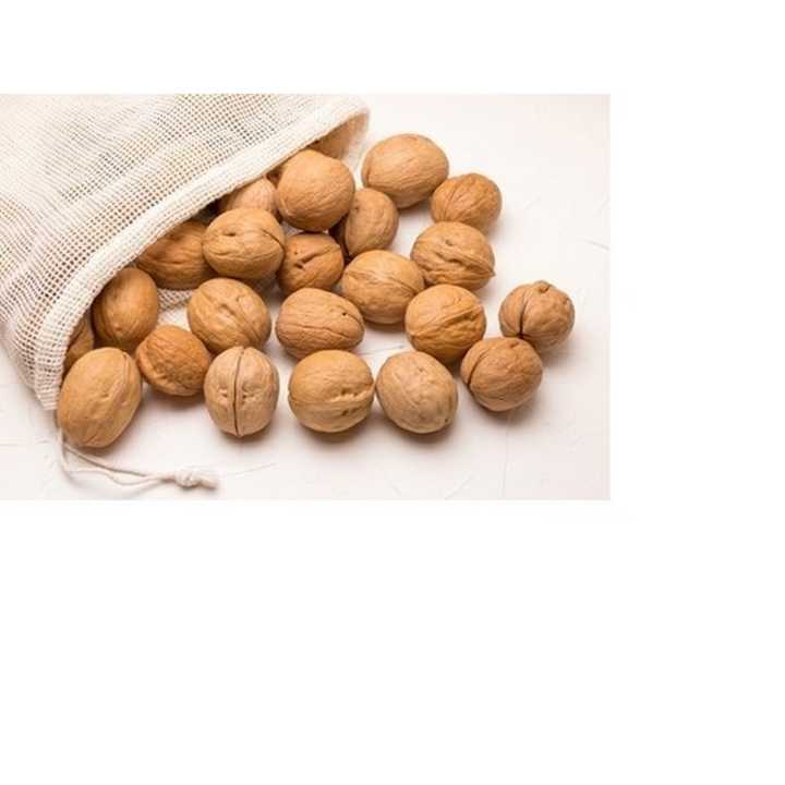 Walnut 500Gm / Okhar / Wallnut 500 Gm | Daraz.com.np