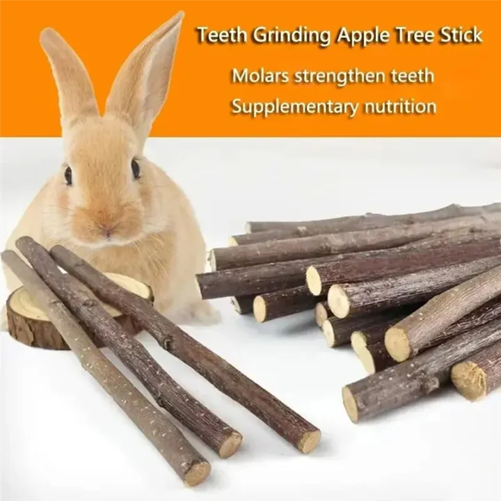 Kqueebee 100pcs Hamster Rabbits Teeth Grinding -Tree Stick Minerals ...