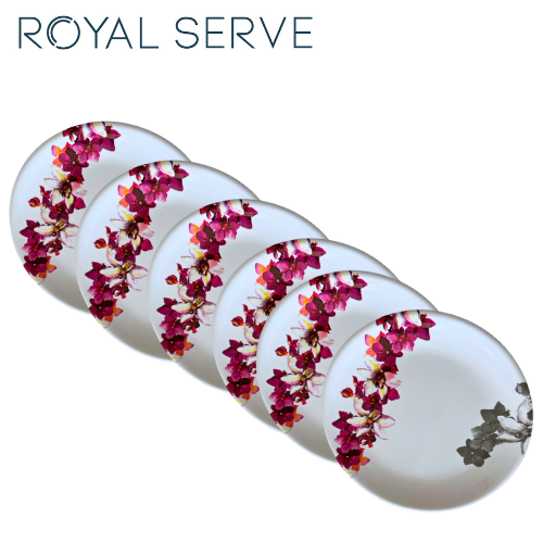 Melamine Full Dinner Plate Royal Serve Plano Plate 6 Pcs Set | Daraz.com.np