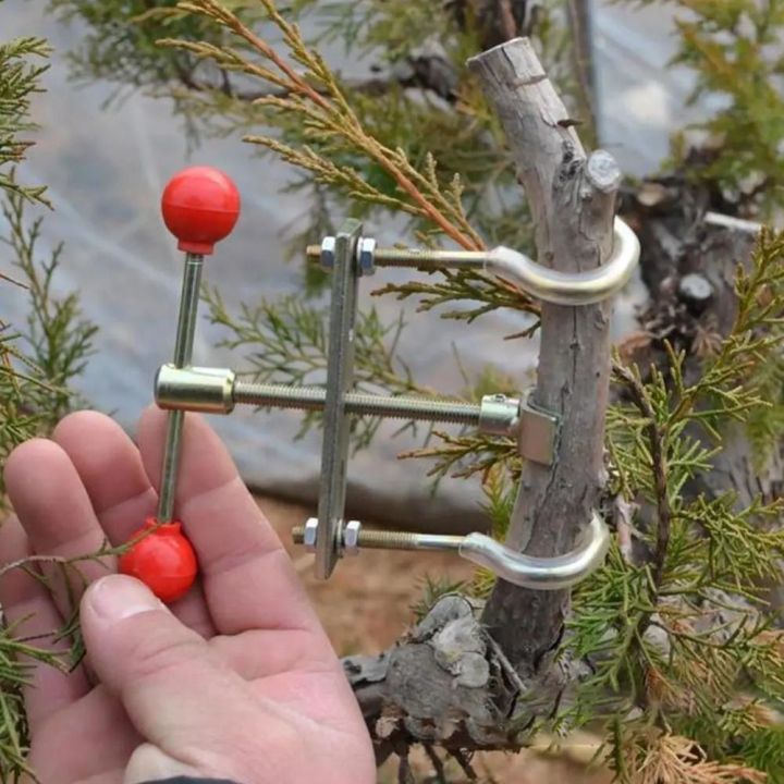 Gyrate Installation Exceptional Steel Bonsai Branch Bender Tools Kit ...