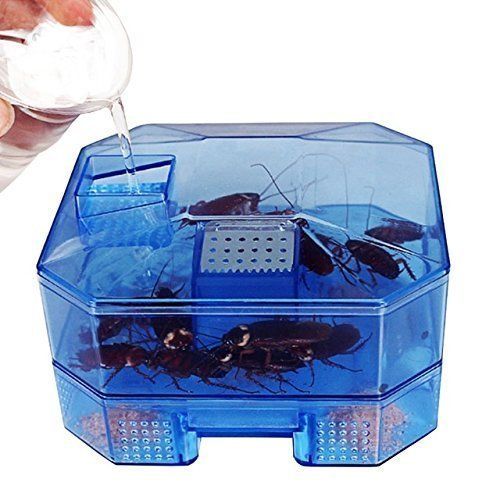 Praxon Household Effective Cockroach Traps Box Cockroach Bug Roach ...