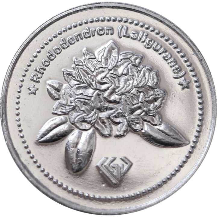 KGD Pure Silver 999 Laligurans 10g Coin | Daraz.com.np
