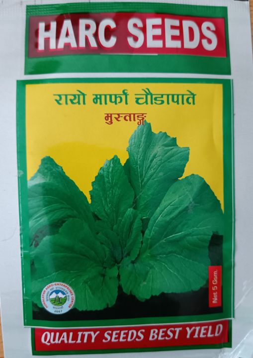 Rayo Vegetable Seed Mustang Marpha Chaudapate - 5 gms | Daraz.com.np