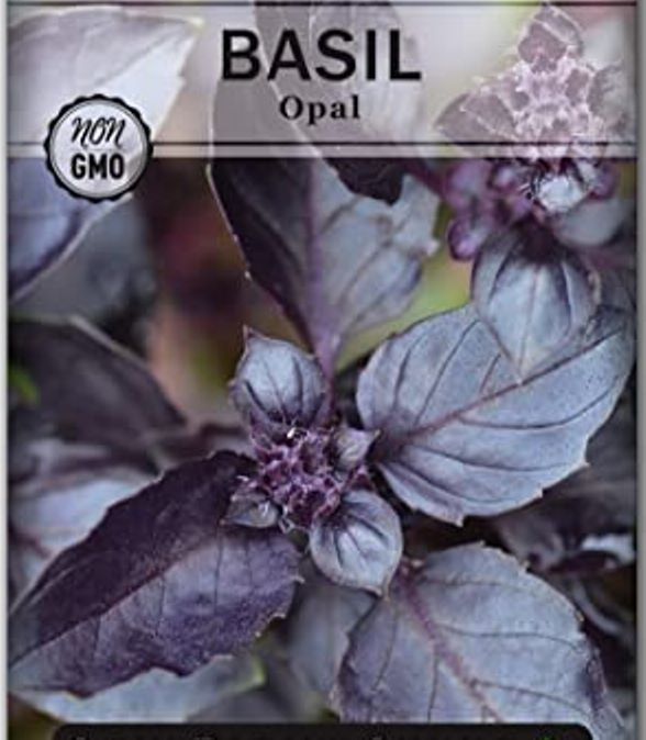 1 Packet Dark Opal Basil Mix Seeds.. | Daraz.com.np