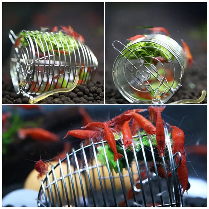 Durable Stainless Steel Fish Tank Aquarium Bait Feeder Shrimp Catch ...