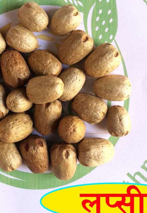 Tree Seeds- 1 Packet Lapsi Seeds | लप्सी (Choerospondias axillaris) 200 ...