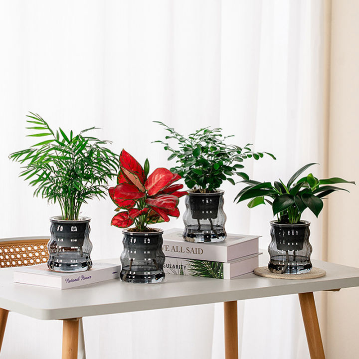 Mini Self Watering Flower Pot Fish Tank Transparent Plastic Plant Pots ...