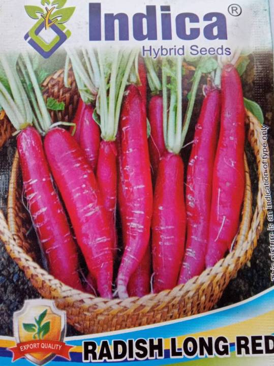 Radish Long Red Seeds 10 Gram | Daraz.com.np
