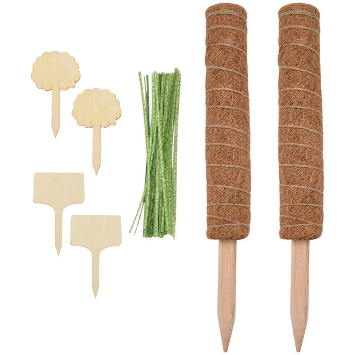 Moss Pole Plant Support.26.6 Inch Moss Sticks for Indoor Plants | Daraz ...