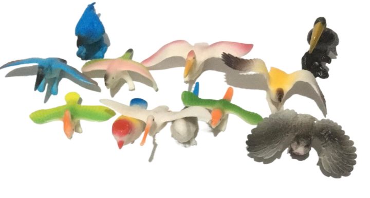 Multicolor Plastic Birds Toys | Daraz.com.np