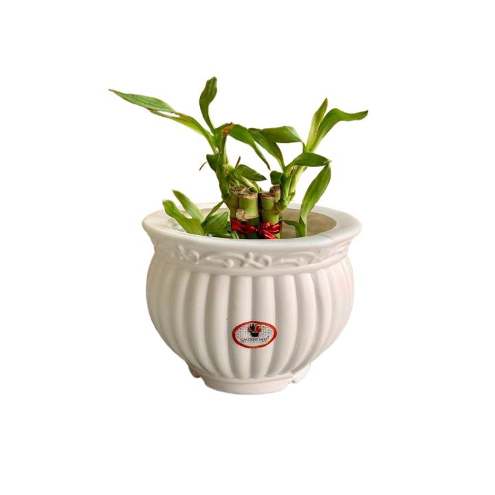 Kanha Matki 5 Inch Flower Pot For Indoor Outdoor Garden | Break ...