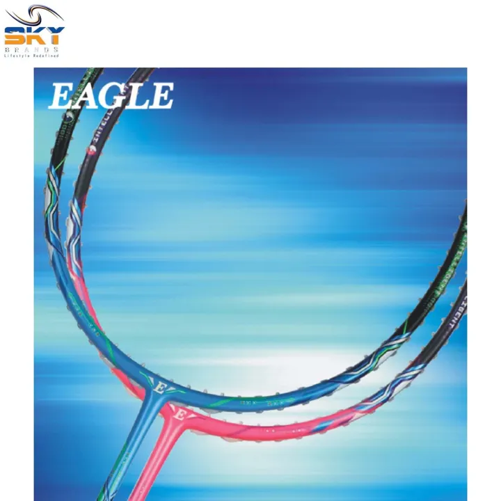 Eagle Intelligent Tech 4+ Badminton Racket | Daraz.com.np