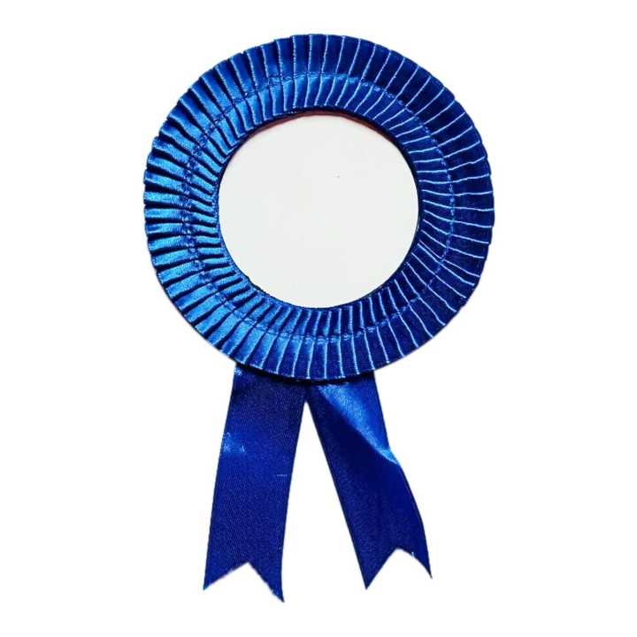 5 Pieces Ribbon Badge (One Layer ) for Guest, Awards, Party ...