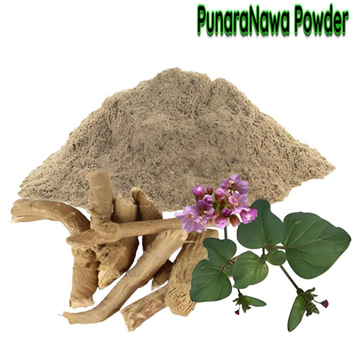 Punarnava root powder, Punarnawa: Sothhin: Boerhavia diffusa 100 grams ...