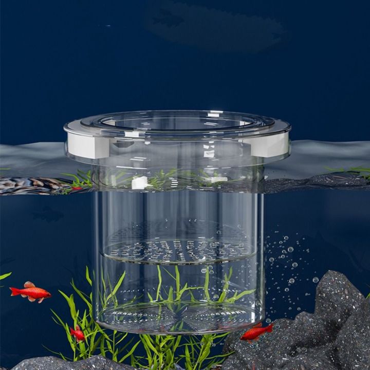 Aquarium Hatchery Accessory Acrylic Floating Fish Breeding Isolation ...