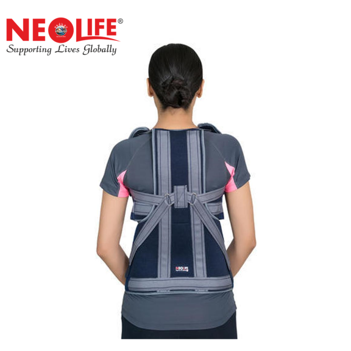 NEOLIFE Taylor Brace Universal (Hyperextension braces or thoracic ...