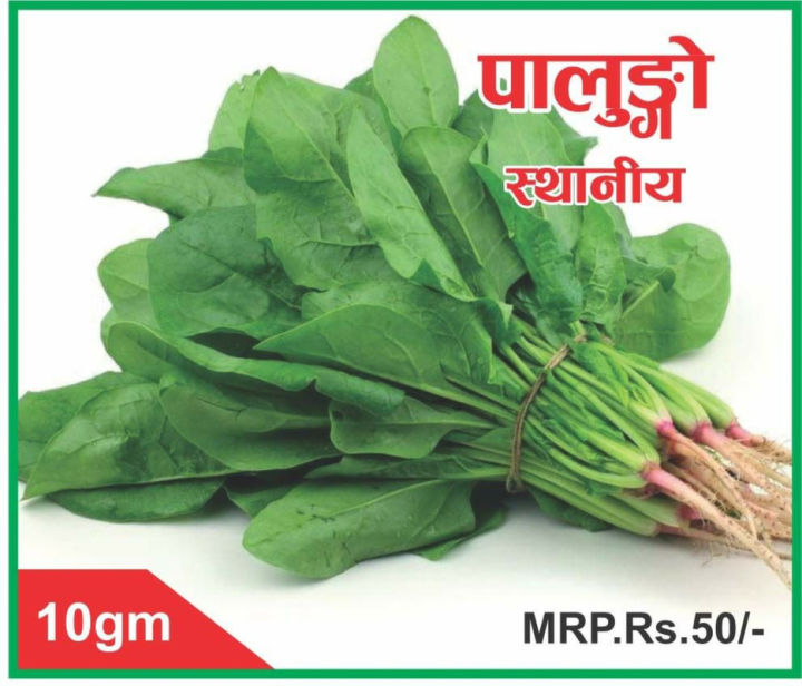 Local Palungo Seeds 250Grm | Daraz.com.np