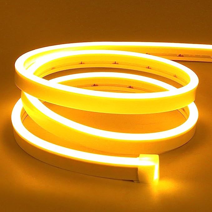 12V DC Neon Sign For Bedroom Indoor Outdoor Decoration（Power Adapter ...