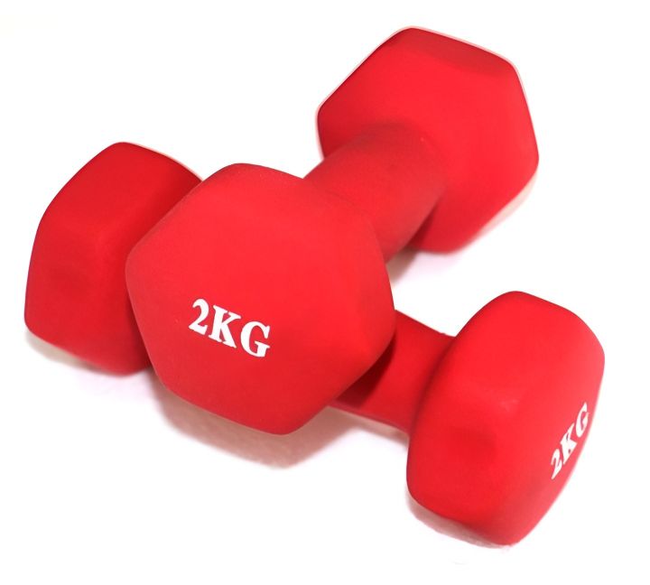 Dumbbell Set 2 kg Pair Total Weight 4 Kg | Daraz.com.np