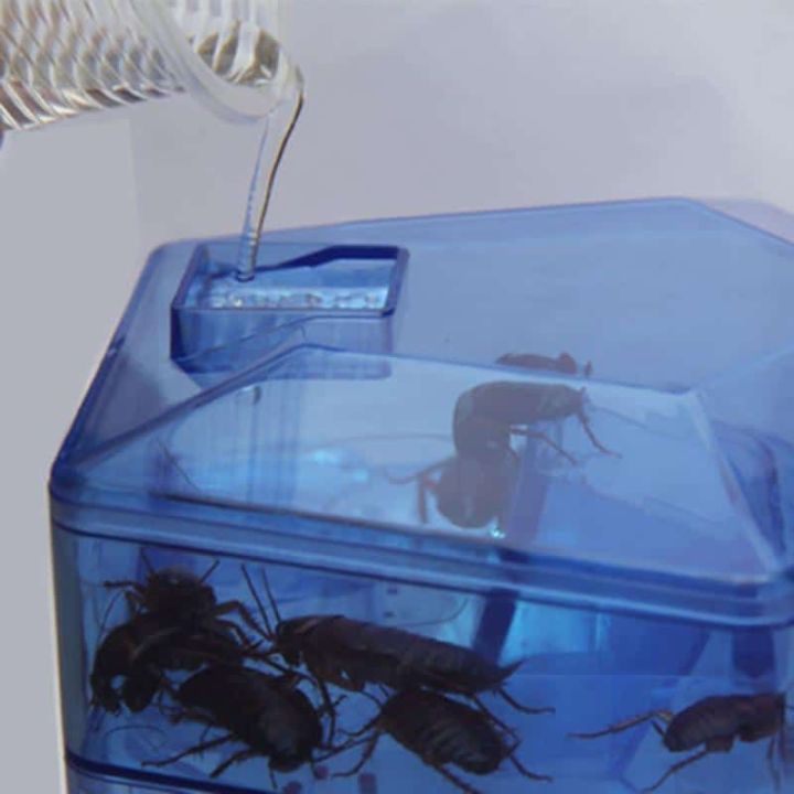 Praxon Household Effective Cockroach Traps Box Cockroach Bug Roach ...