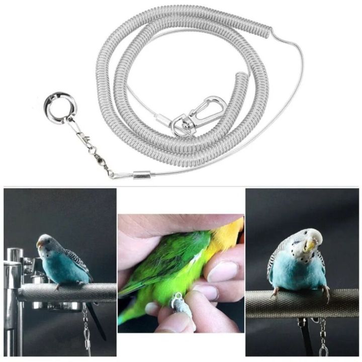 Budgie Leash Ultra-light Parrot Training Rope Durable Anti-bite Bird ...