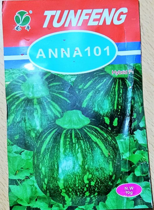 Anna 101 Hybrid Squash Pumpkin 10 gm | Daraz.com.np