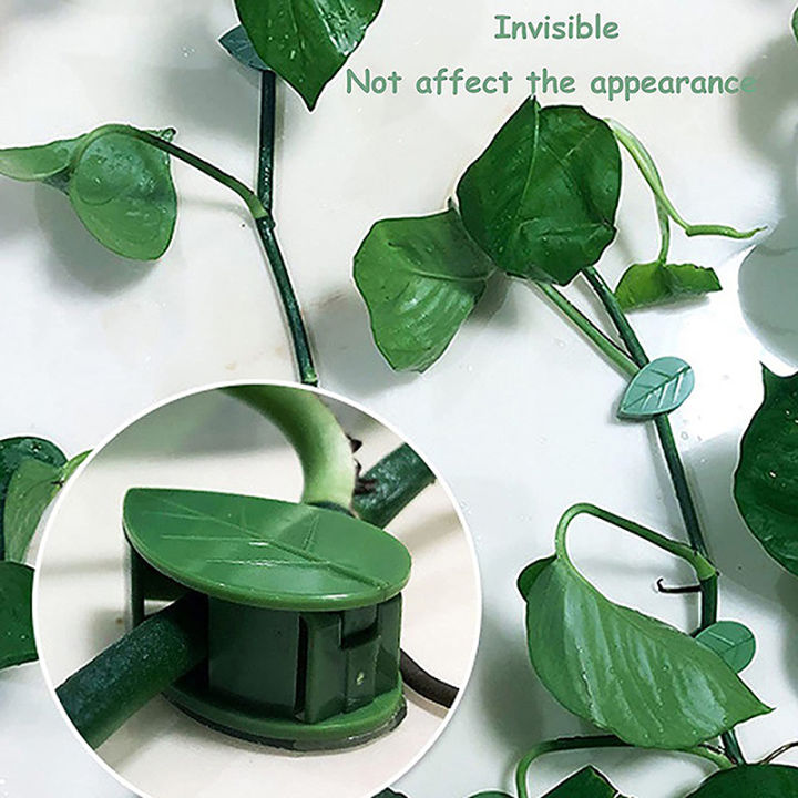 10pcs Plant Stand Green Leaf Clip Self Adhesive Plant Clip Home Garden Vine Nicle | Daraz.com.np