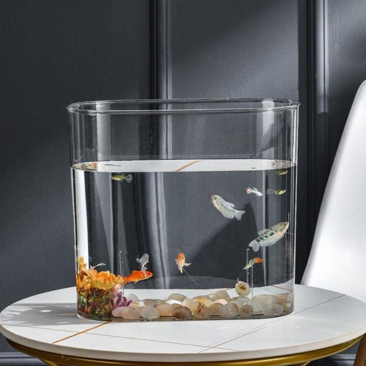 Pet Supplies Transparent Plastic Fish Anti-falling PET Desktop Fish ...
