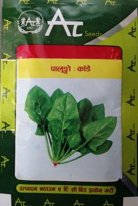 Spinach Seeds 20 Grams Pkt of 2 Pkts | Daraz.com.np