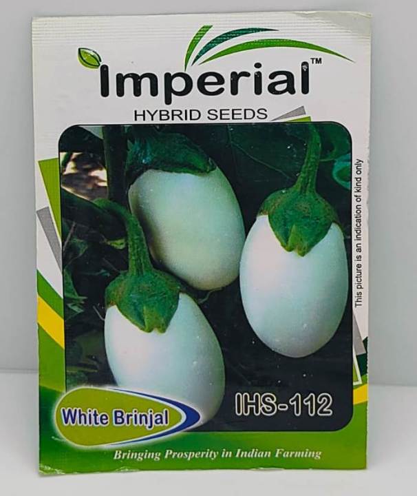 1 Packet Round A Year Vegetable Seeds - All Time All Season Vegetable ...