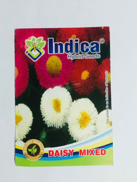 1 Packet Daisy Mixed Flower Seeds - A Beautiful Blend of Vibrant Colors ...