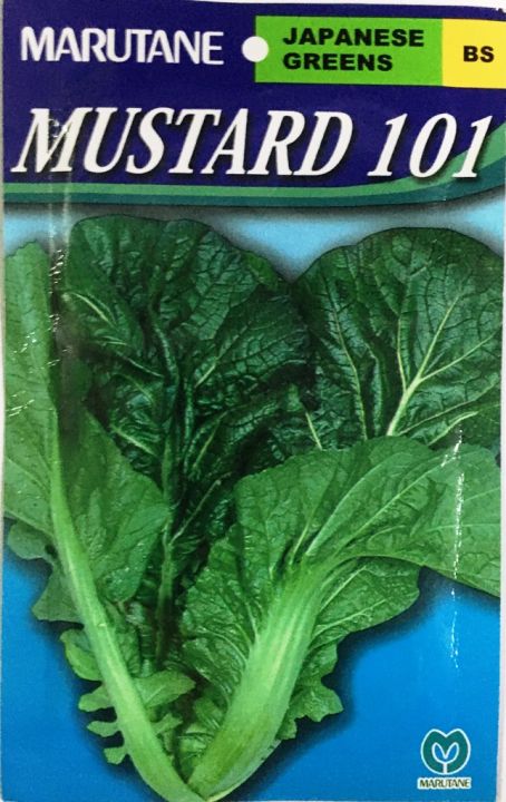 Mustard 101 Japanease Commercial Hybrid Leafy Vegetable - 5 gm | Daraz ...