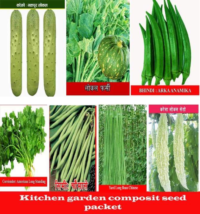 Vegetable Seeds- Round A Year - Baramase Combo 7 Types Vegetable Seeds ...