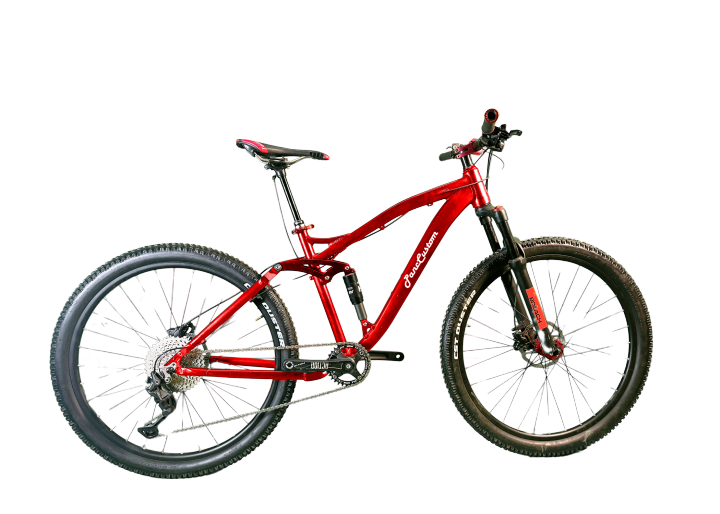 Panc custom double suspension with 1x10 Gear and both air suspension ...