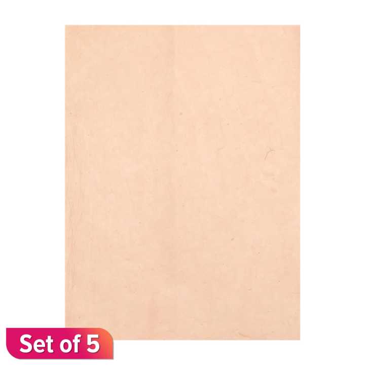 Nepali Lokata Paper 20X30 Inches Sets Of 5 | Daraz.com.np